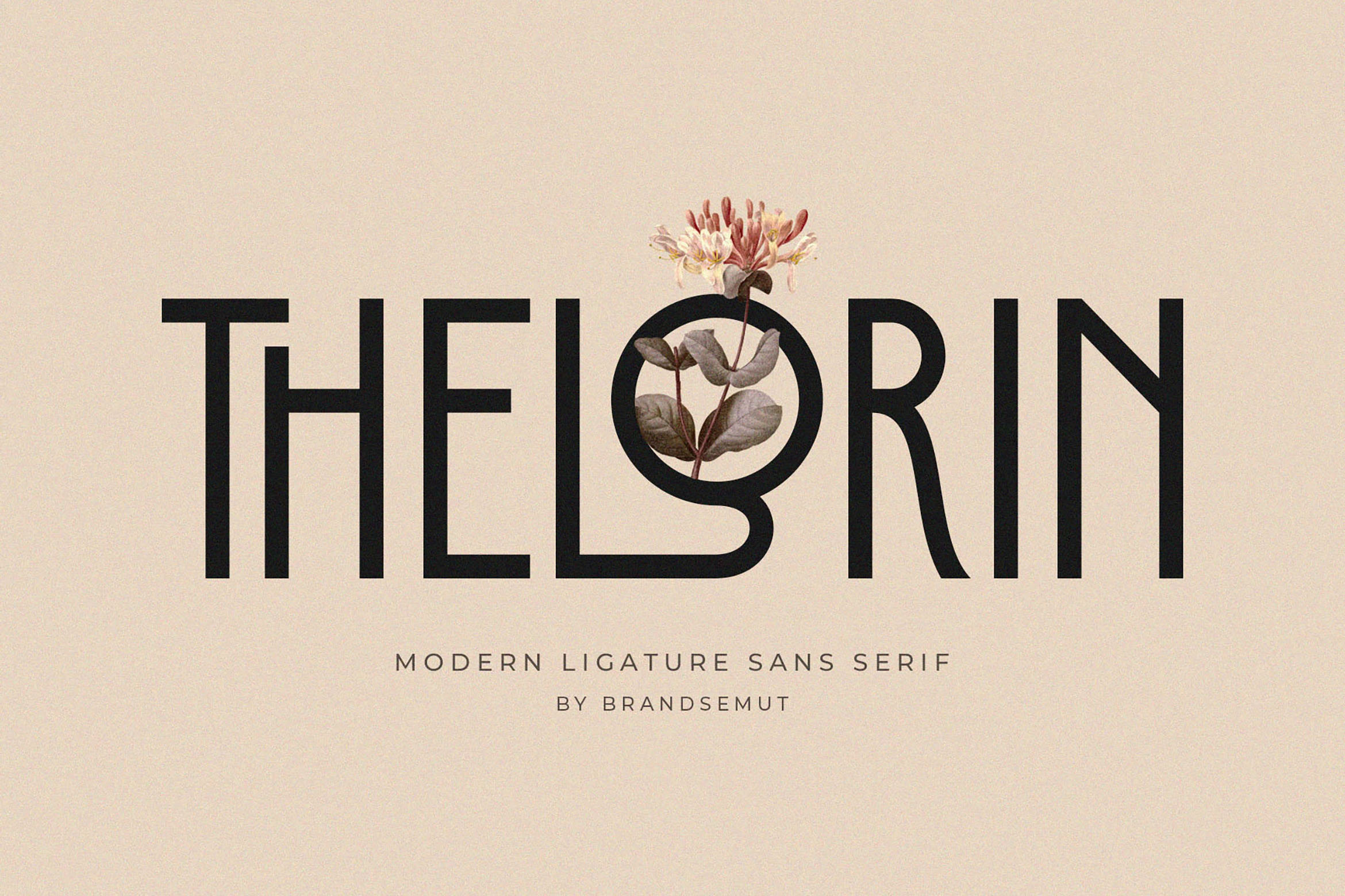 Medino // Modern Stylish Serif