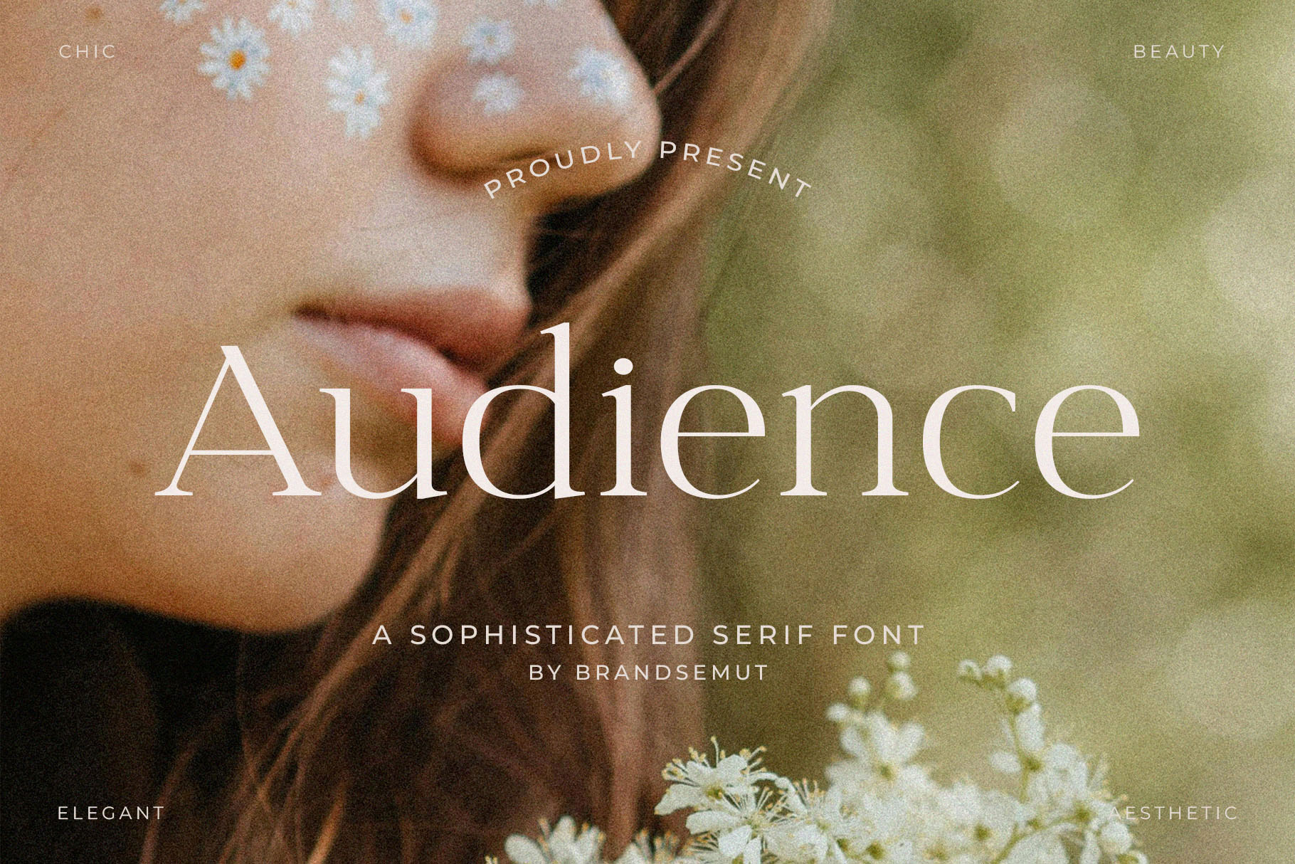 Audience – Sophisticated Serif Font